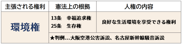 政経講義13 新しい人権をわかりやすく 倫理政経com