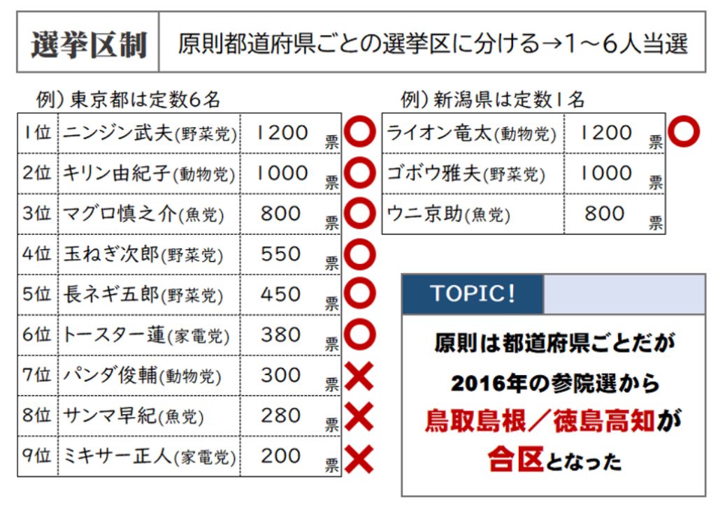 政経講義22 選挙のしくみや課題をわかりやすく 倫理政経com